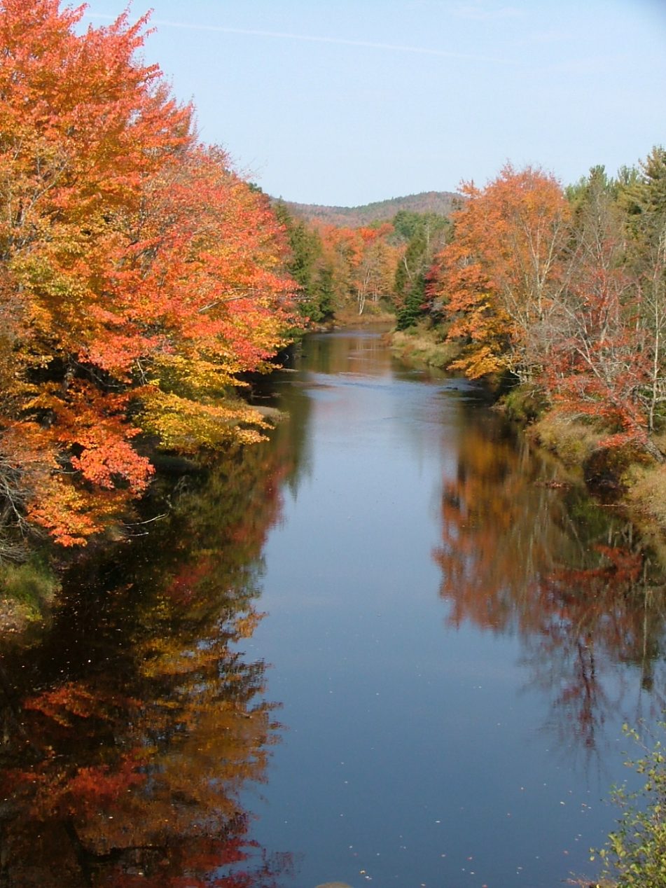 Outreach Resources - School of Forest Resources - University of Maine
